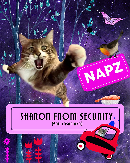 Ravelry: Napz pattern by Casapinka