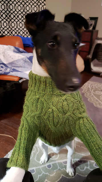 Ravelry: catgirlva's Botanical Yoke Dog Sweater for Sammy