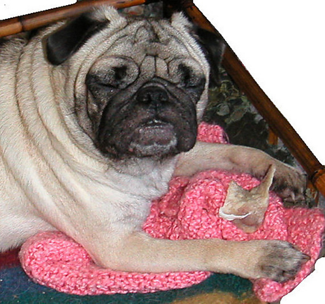 Ravelry: Pug Dog Blanket pattern by Andrea Rainey