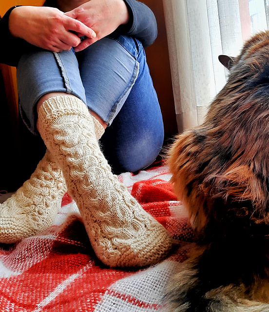 Ravelry: Evergreen Cherry Slippers pattern by Marcela Chang Knits