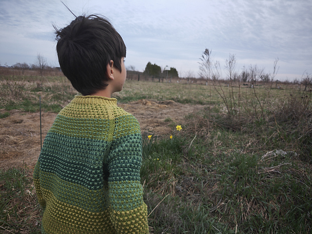 Ravelry: Germination sweater worsted pattern by Choboosh Vee Knits