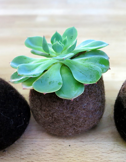 Ravelry: felted pods pattern by Julie Weisenberger