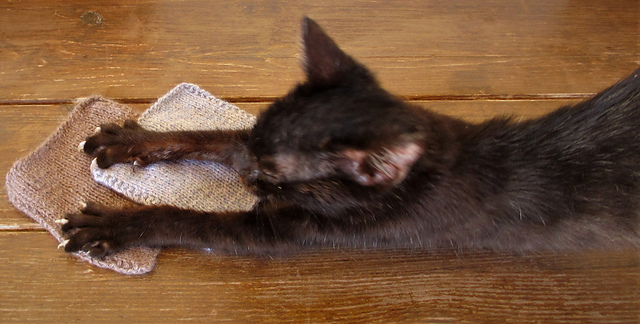 Ravelry: cocorina's NOUX