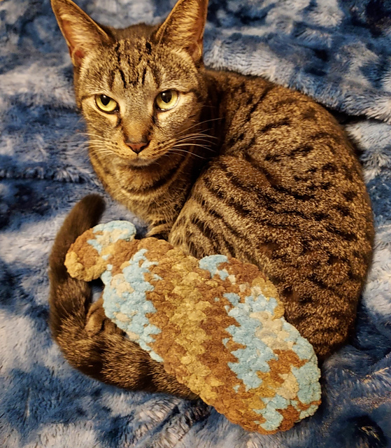 Ravelry: Catnip Fish Kicker pattern by Crazycatnbooklady