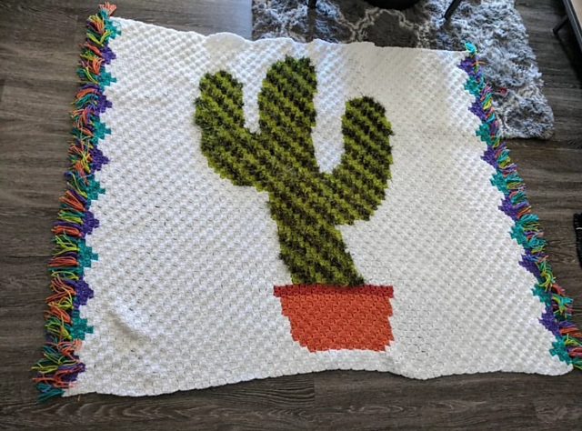 Ravelry: C2C Cactus Blanket pattern by Laura Anne Mehl