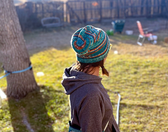 Ravelry: cristoperb's Sockhead on the Arizona Trail