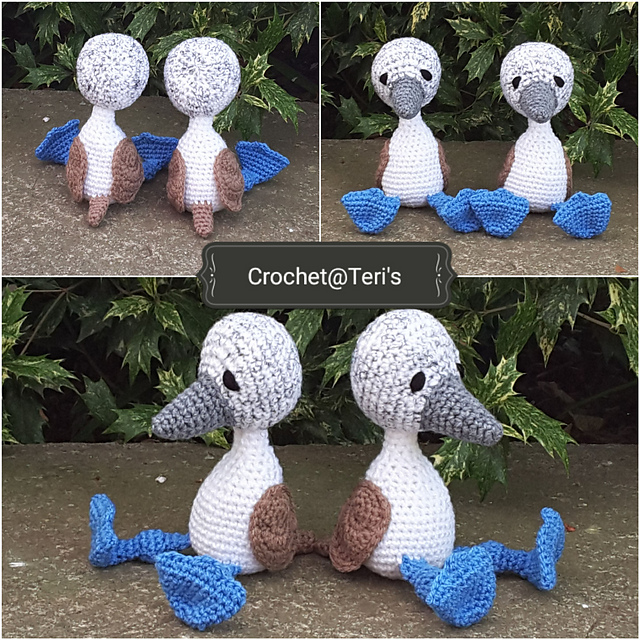 Ravelry: Blue Footed Booby pattern by Crochet at Teri's