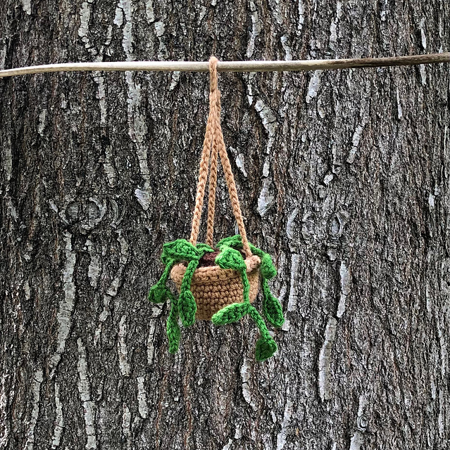 Ravelry: Hanging Pothos Plant pattern by Lily White