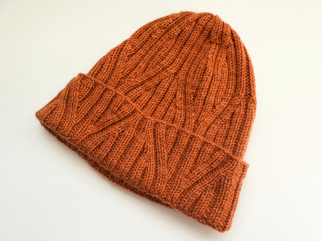Ravelry: crumbgrubbers' Coral Reef Hat⭐
