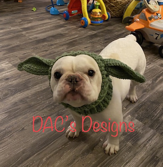 Ravelry: Baby Yoda Dog Hat pattern by Debra Christensen