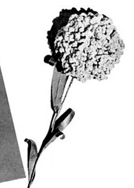 Ravelry: Carnation #4016 pattern by The Spool Cotton Company