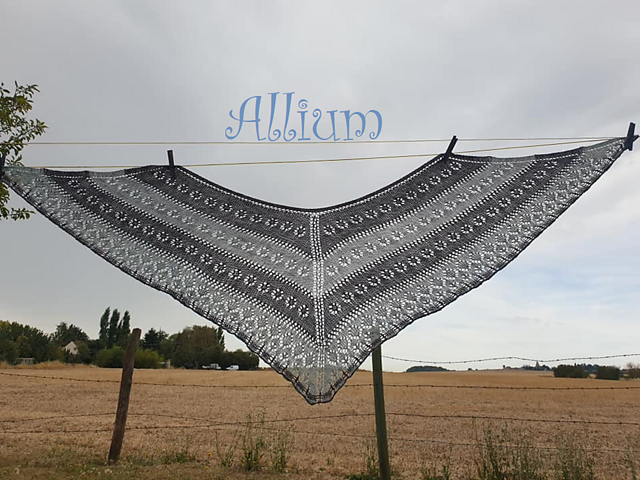 Ravelry: Allium pattern by Danielle Plat