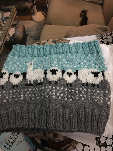 Ravelry: djoh437938's Sheep Alpaca Cowl