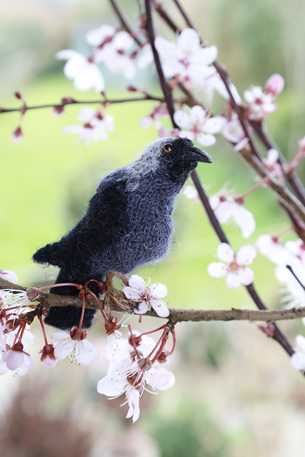 Ravelry: Little Crow pattern by Claire Garland