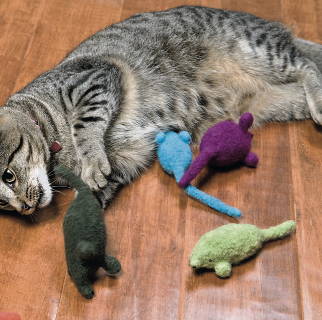 Ravelry: Felted Catnip Mice pattern by Donna Druchunas