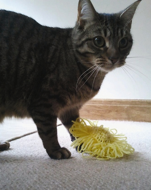 Ravelry: Squibble Cat Toy pattern by Esh Crochet