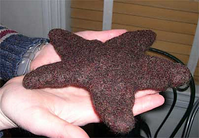 Ravelry: Felted Starfish pattern by Linda Taylor