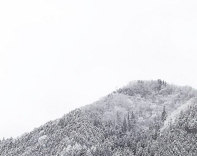 Ravelry: eritml's haiyuki