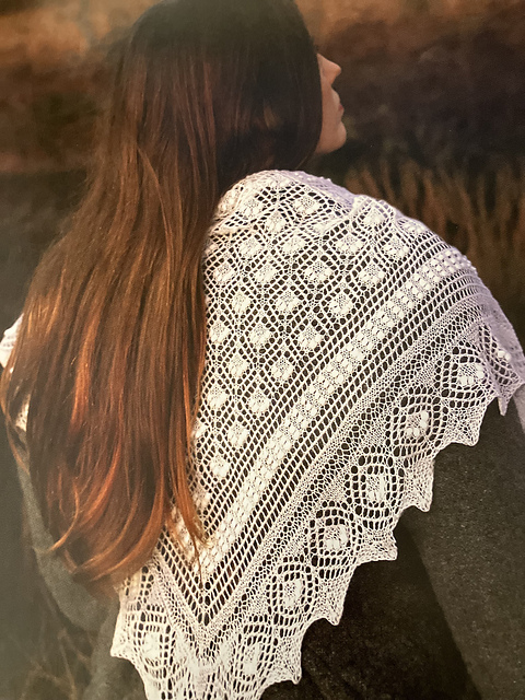 Ravelry: Friar's Lantern Net shawl pattern by Siiri Reimann