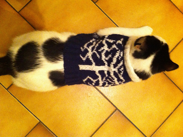 Ravelry: Kitty Tree Sweater pattern by Jean Fox
