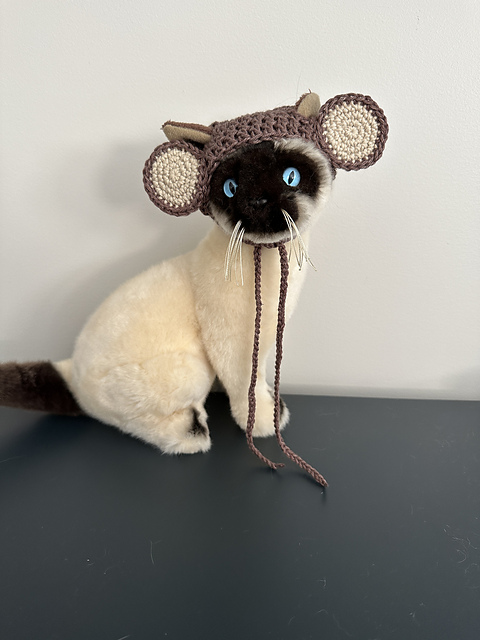 Ravelry: Monkey Cat Hat pattern by Felicity Chapman
