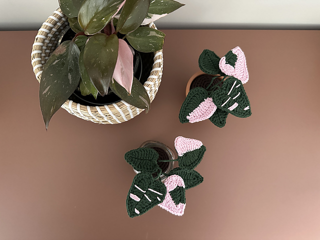 Ravelry: Philodendron Pink Princess Plant pattern by Felicity Chapman