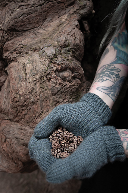 Ravelry: Sequoia pattern by Caitlin ffrench