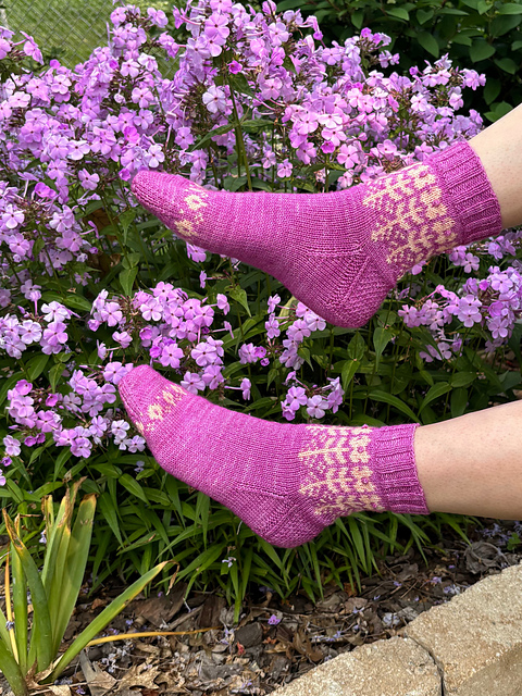Ravelry: Flower Gathering Socks pattern by Allison Lutes
