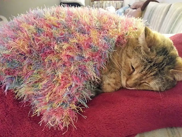 Ravelry: Fun Fur Snuggle pattern by Rae French