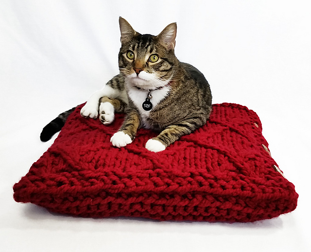 Ravelry: Kitty Cat Mat pattern by Bethany A Dailey