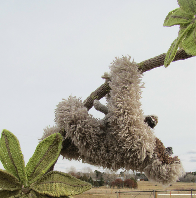Ravelry: Yaya the Three Toed Sloth pattern by Ellen's Wooly Wonders