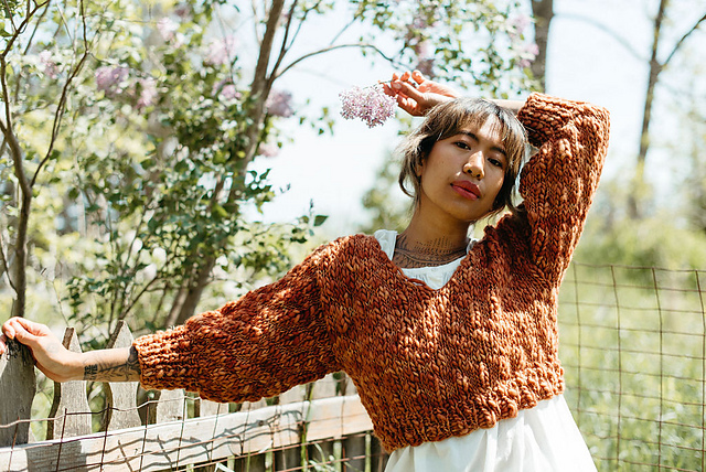 Ravelry: Dryden Sweater & Vest pattern by Tara-Lynn Morrison