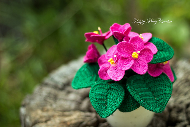 Crochet African Violet Flower Free Pattern | Best Flower Site