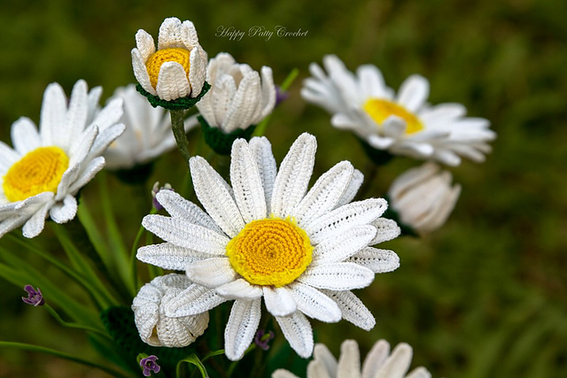 Ravelry: Shasta Daisy Flower pattern by Happy Patty Crochet