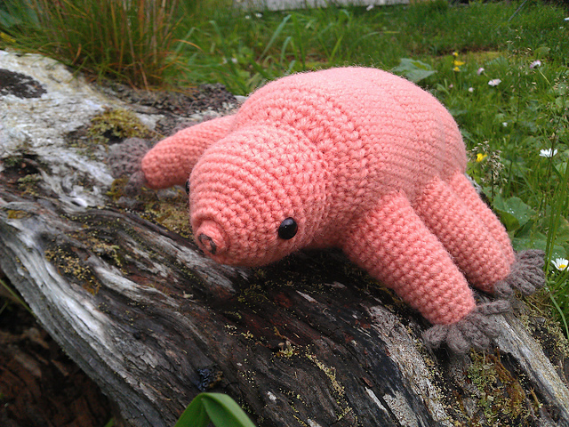 Ravelry: Tardigrade pattern by Lisa Vanvikaas