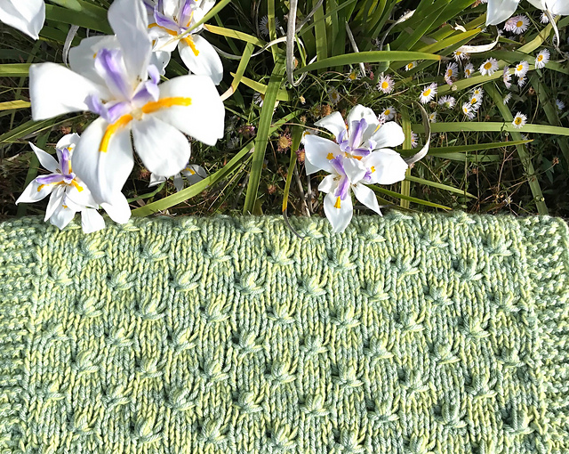 Ravelry: Gifts Prayer Shawl pattern by Alice's Embrace