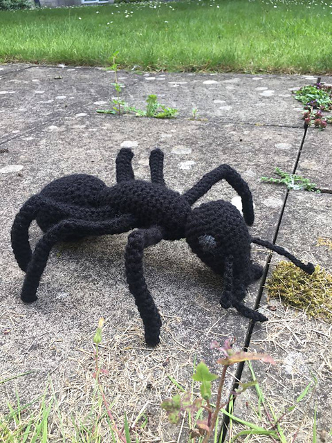 Ravelry: Friendly Garden Ant pattern by Meg Hedrick