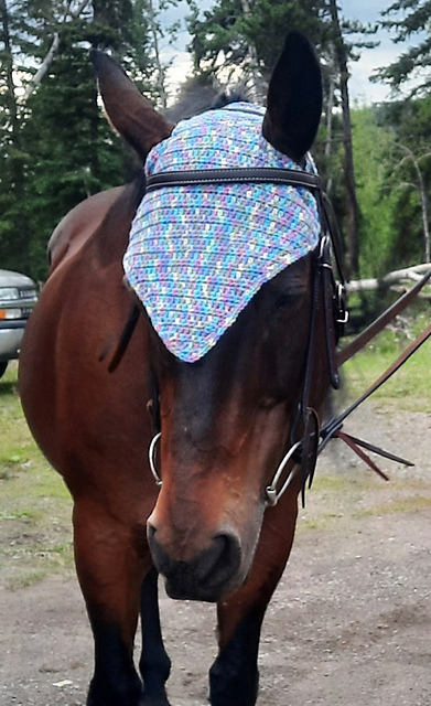 Ravelry: Horse bonnet/beanie pattern by Hannah Feuerborn