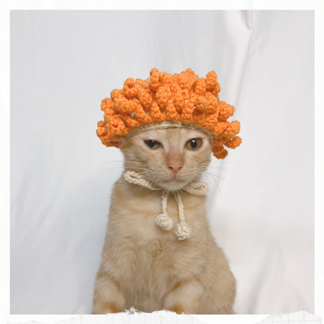 Ravelry: Clown hat for cats pattern by Hana Nguyen