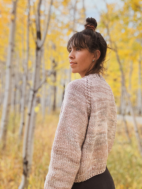 Ravelry: Aspen Pullover pattern by Shalea Taysom