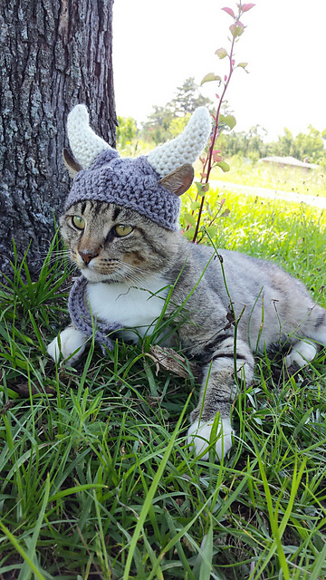 Ravelry: The Viking Helmet for Cats pattern by iheartneedlework