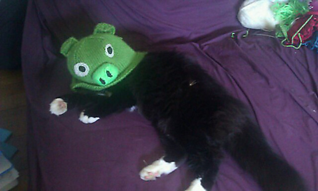 Ravelry: Quick and Easy Angry Birds Pig Hat pattern by Mimi