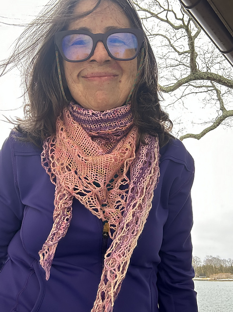 Ravelry: LYS 2026 Butterfly Shawl pattern by Iris Schreier