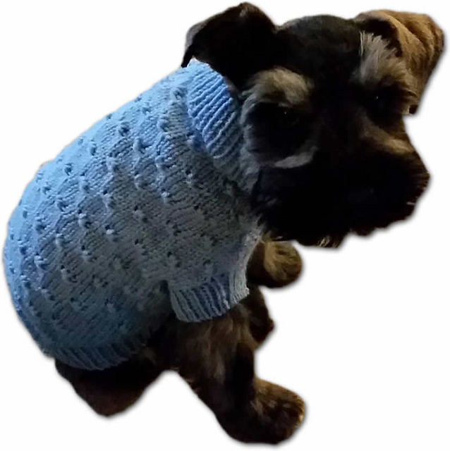 Ravelry: Dot Dog Sweater pattern by June Bowman