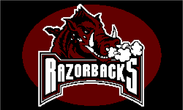 Ravelry: Arkansas Razorbacks Blanket pattern by Erin Swan
