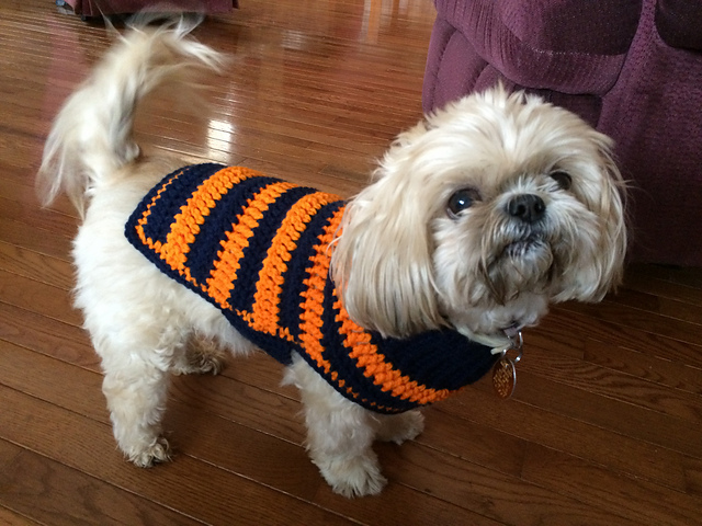 Ravelry: Striped Dog Coat pattern by Jenn Lochte