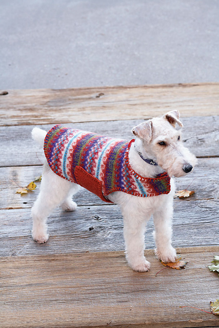 Ravelry: Fair Isle Dog Coat pattern by Patons