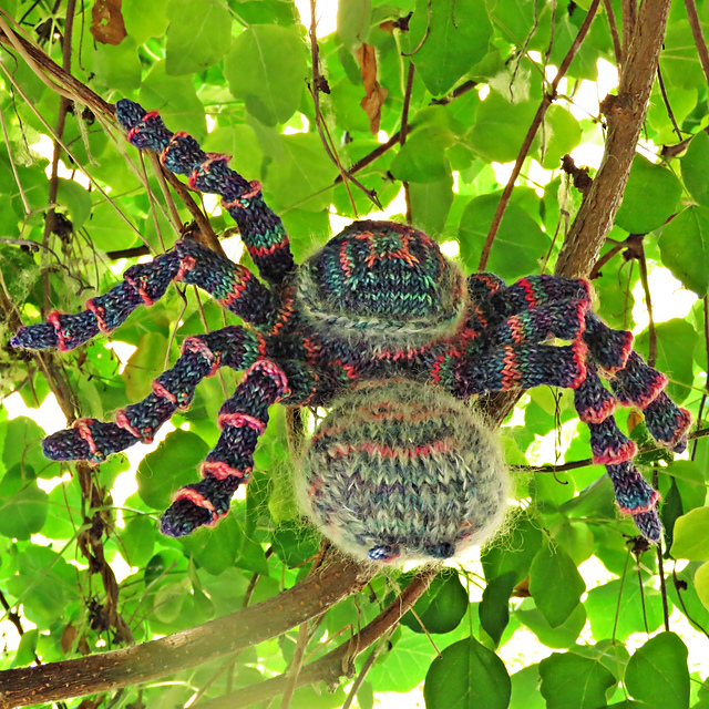 Ravelry: Taciturn Tarantula pattern by Joan Rowe