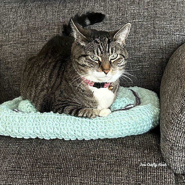 Ravelry: Your Buddy’s Bed pattern by Jo's Crafty Hook