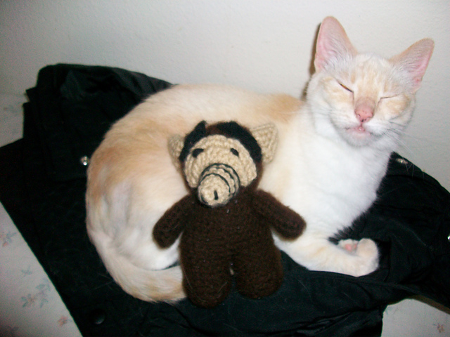 Ravelry: Alf pattern by Jenni Schrader
